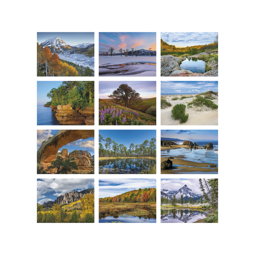 Calendar Landscapes – Total Respiratory